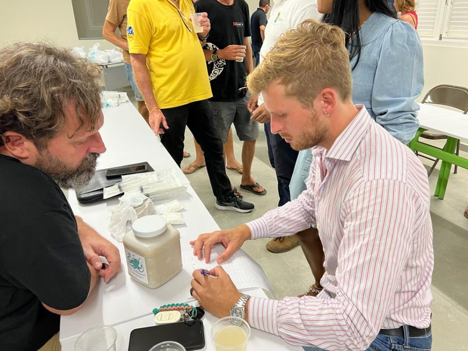 Dive operators receive medication to be applied to coral to combat ...