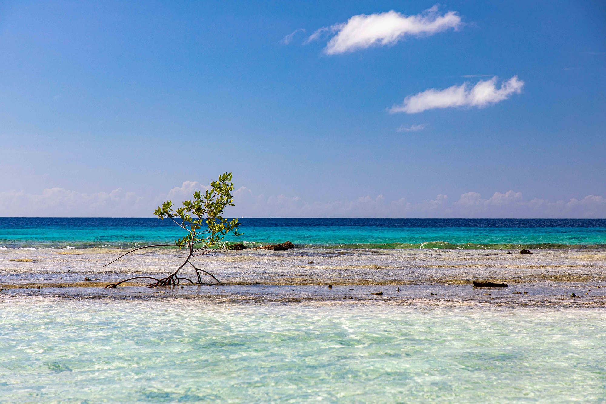 Working together towards clean water for everyone - EA News Aruba