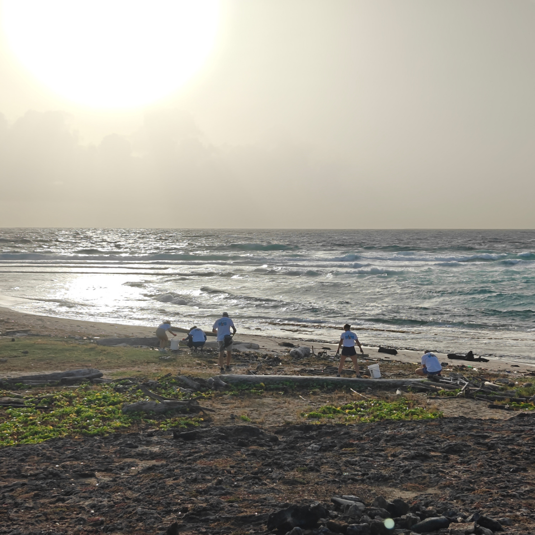Rotary club Aruba a participa den beach clean up - EA News Aruba
