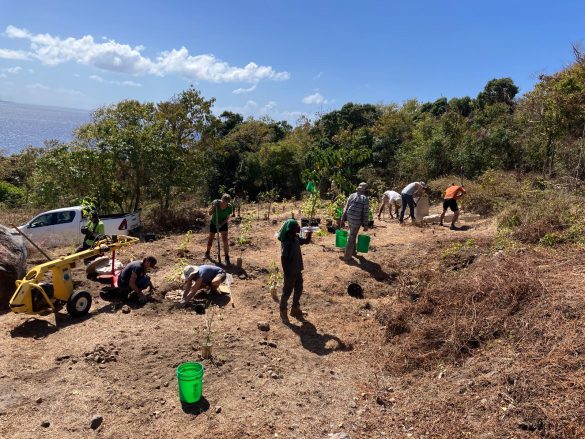 Statia’s Botanical Garden Landscaping Plan Underway – First Project of ...