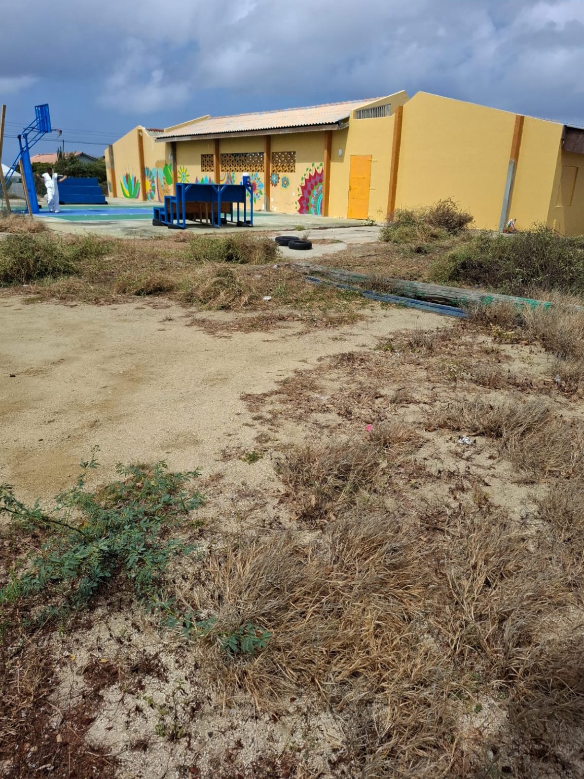 KIA draagt actief bij aan de gemeenschap tijdens Aruba Doet - EA News Aruba