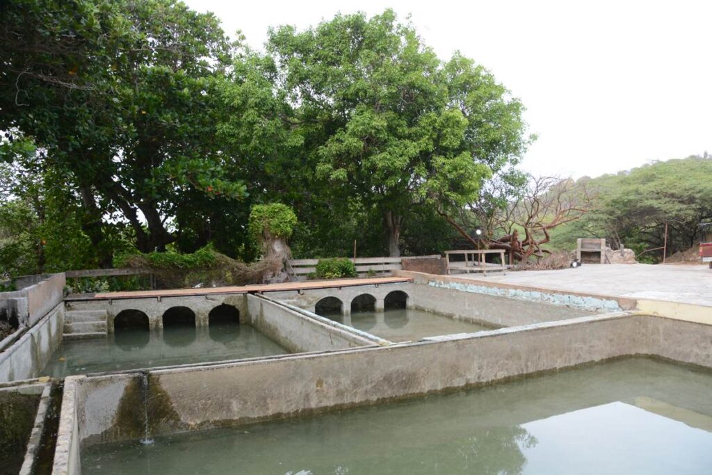 OLB neemt actie na aantreffen ezel in waterbak op Plantage Fontein - EA ...